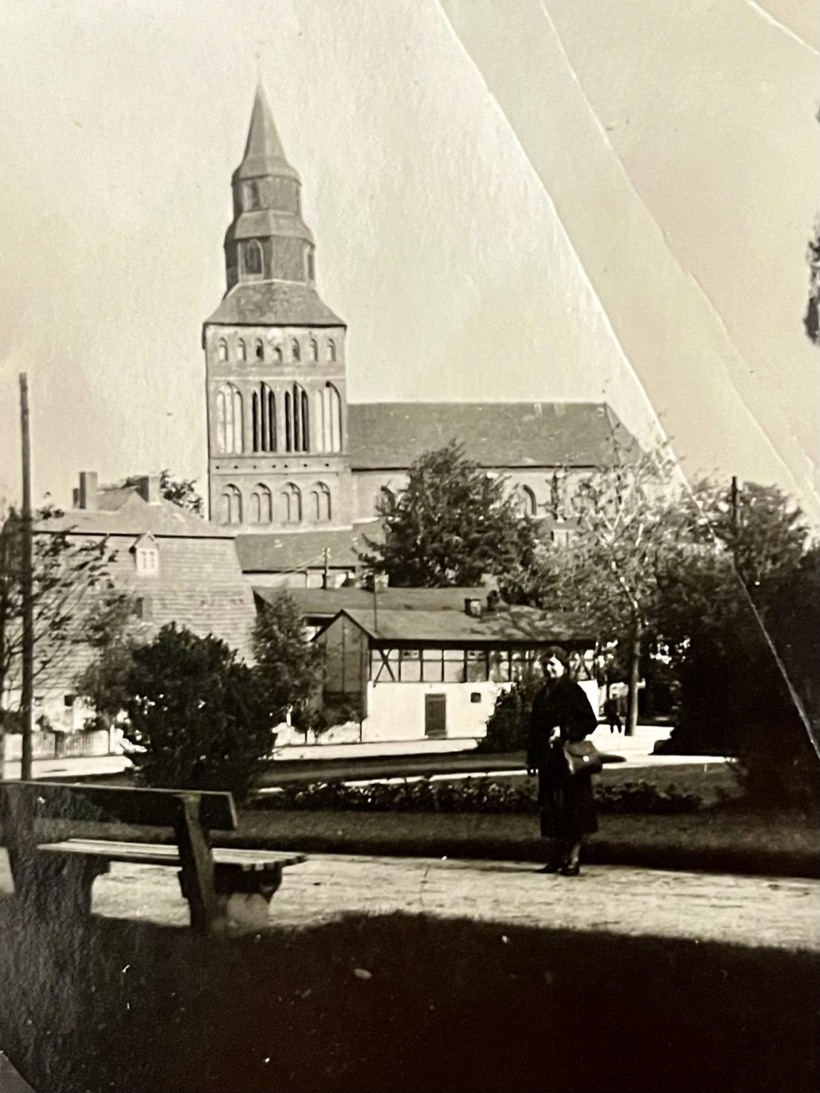 Die klugen Dohlen von Schivelbein – Pommerscher Greif e.V.